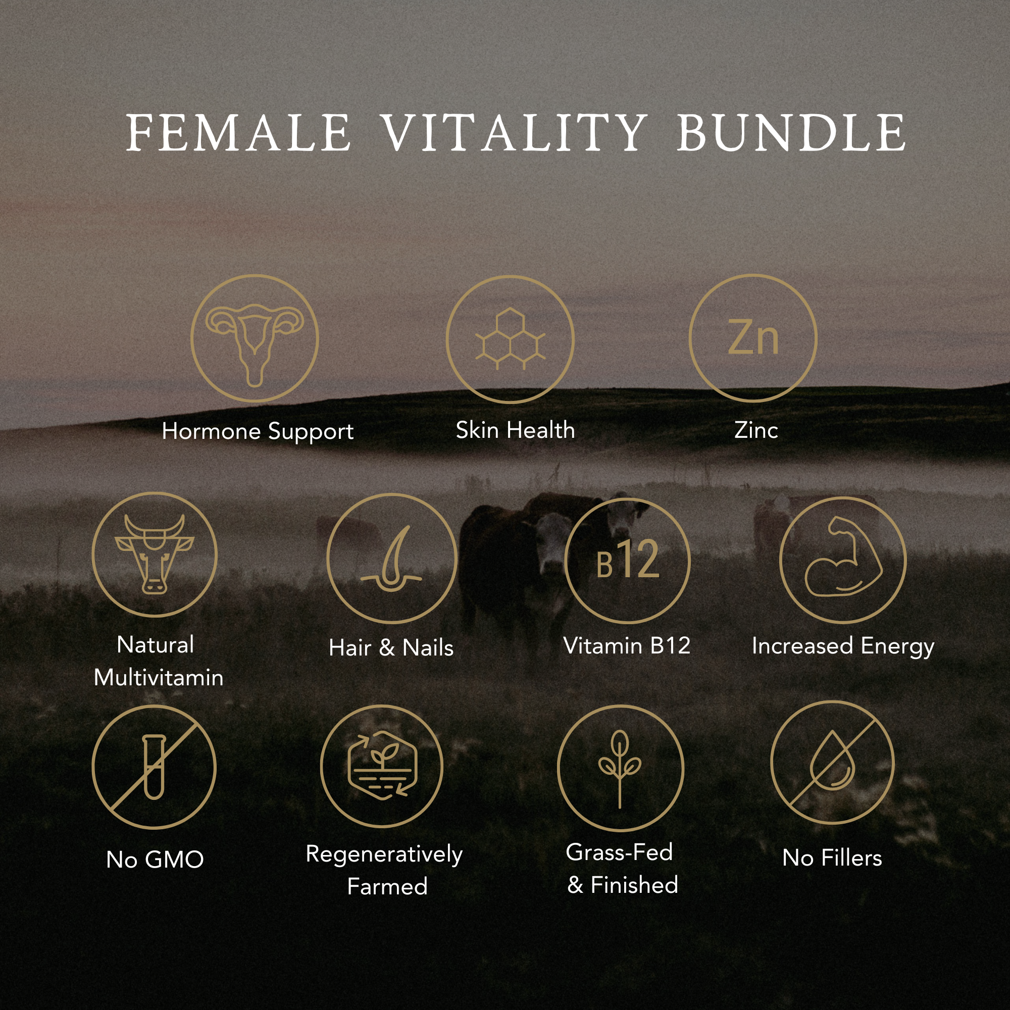 Female Vitality Starter Pack – APE Nutrition Ltd