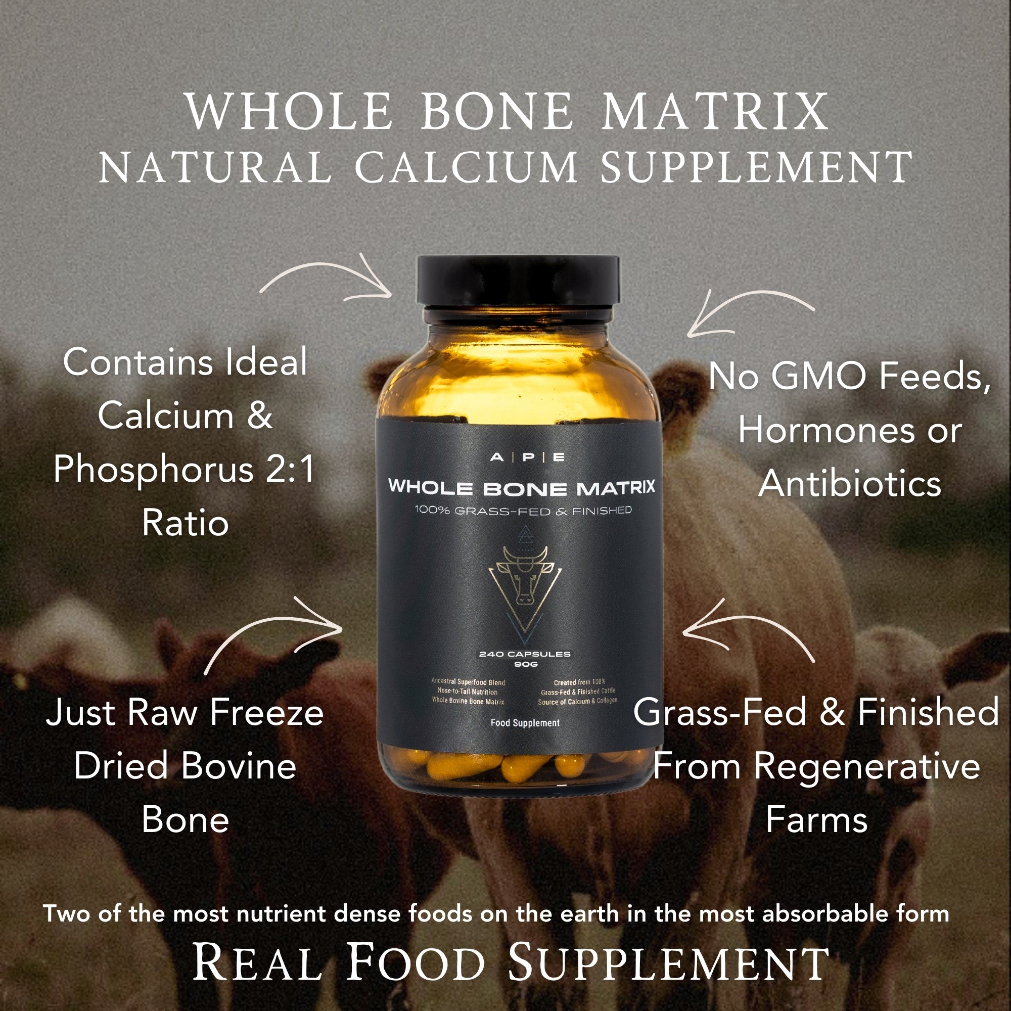 Whole Bone Matrix – APE Nutrition Ltd