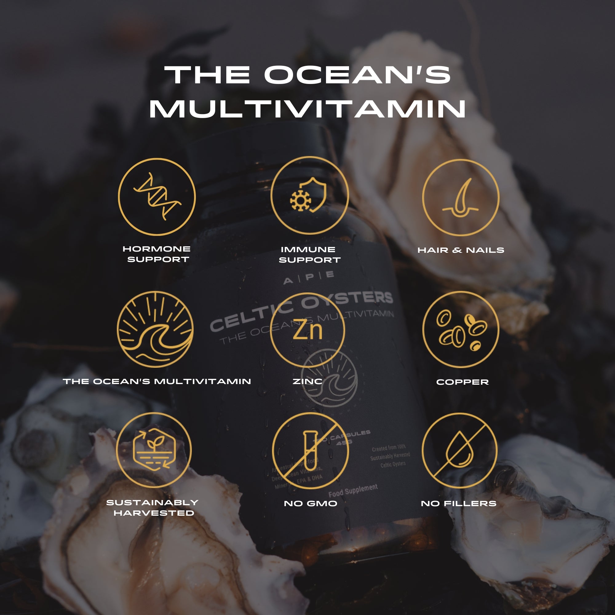 Celtic Oysters – APE Nutrition Ltd