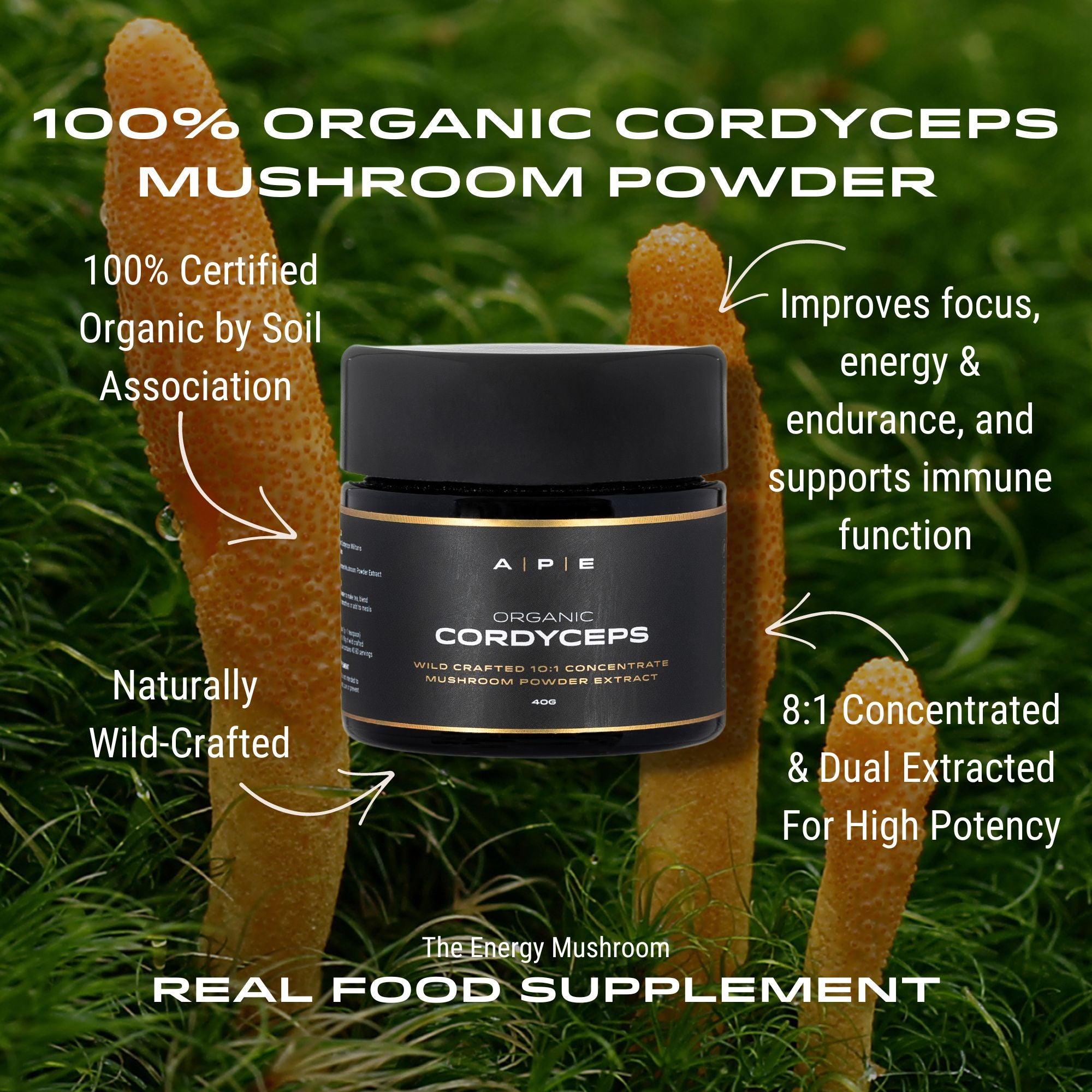 Organic Cordyceps – APE Nutrition Ltd
