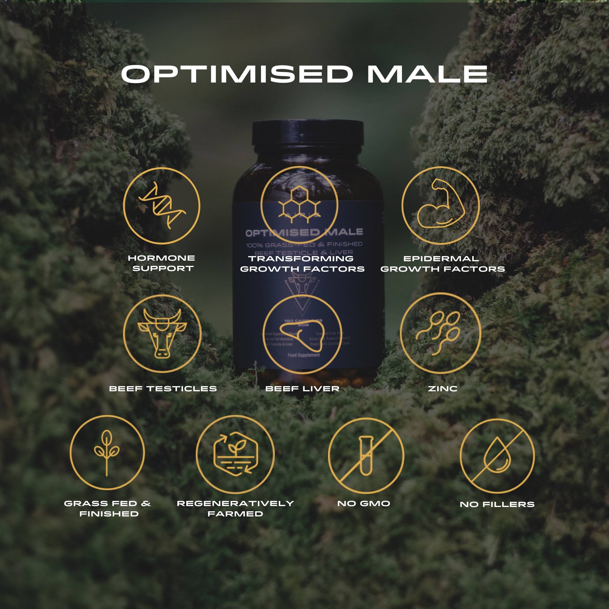 Optimised Male – APE Nutrition Ltd